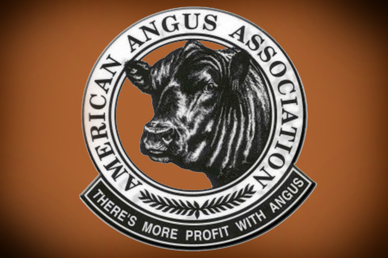Weaver Cattle joins Angus Association | Kingfisher Times & Free Press
